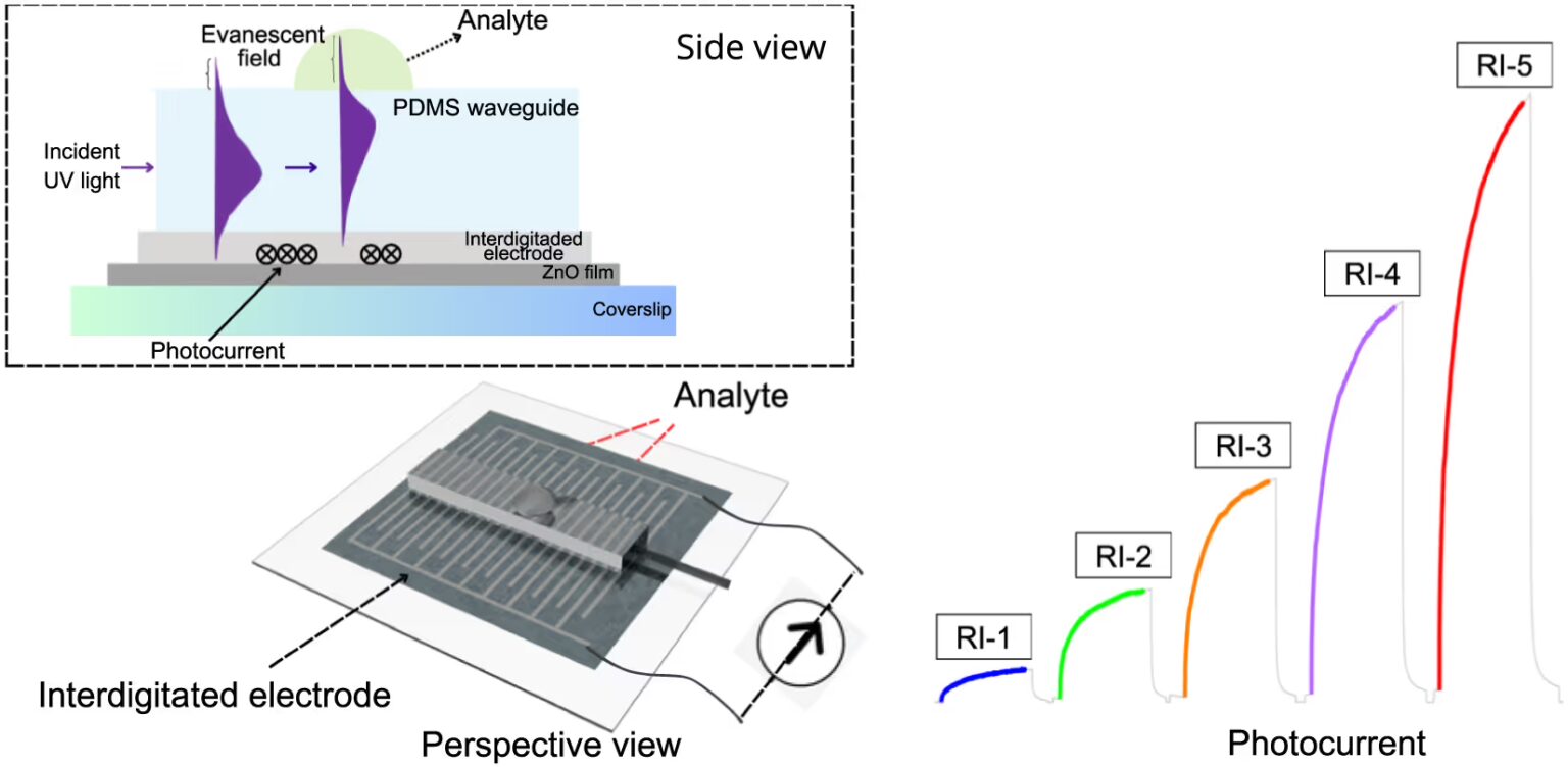 Home - IEEE Sensors Letters
